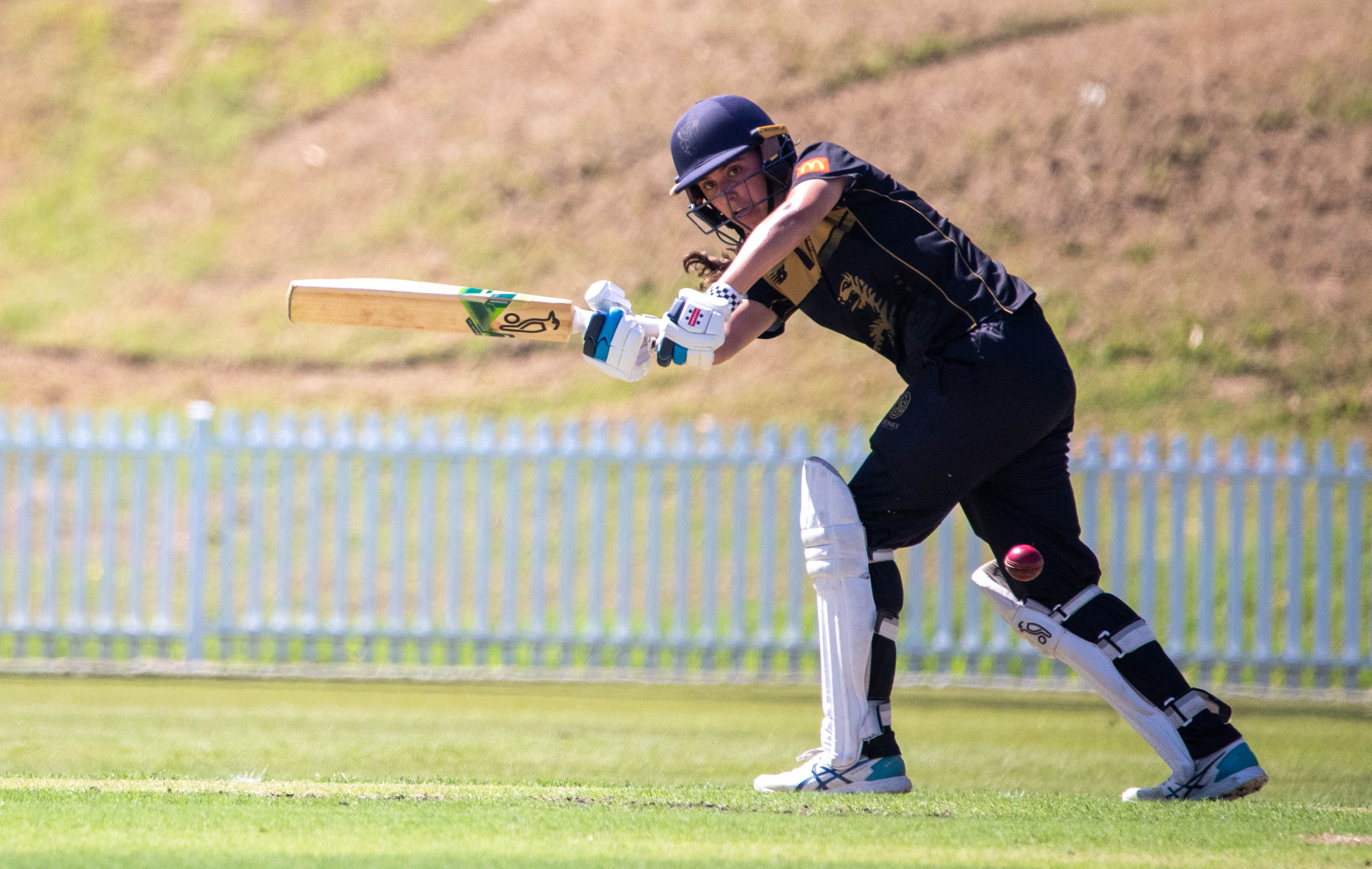 Week 3 – ‘The Opening Spell’ | Cricket NSW