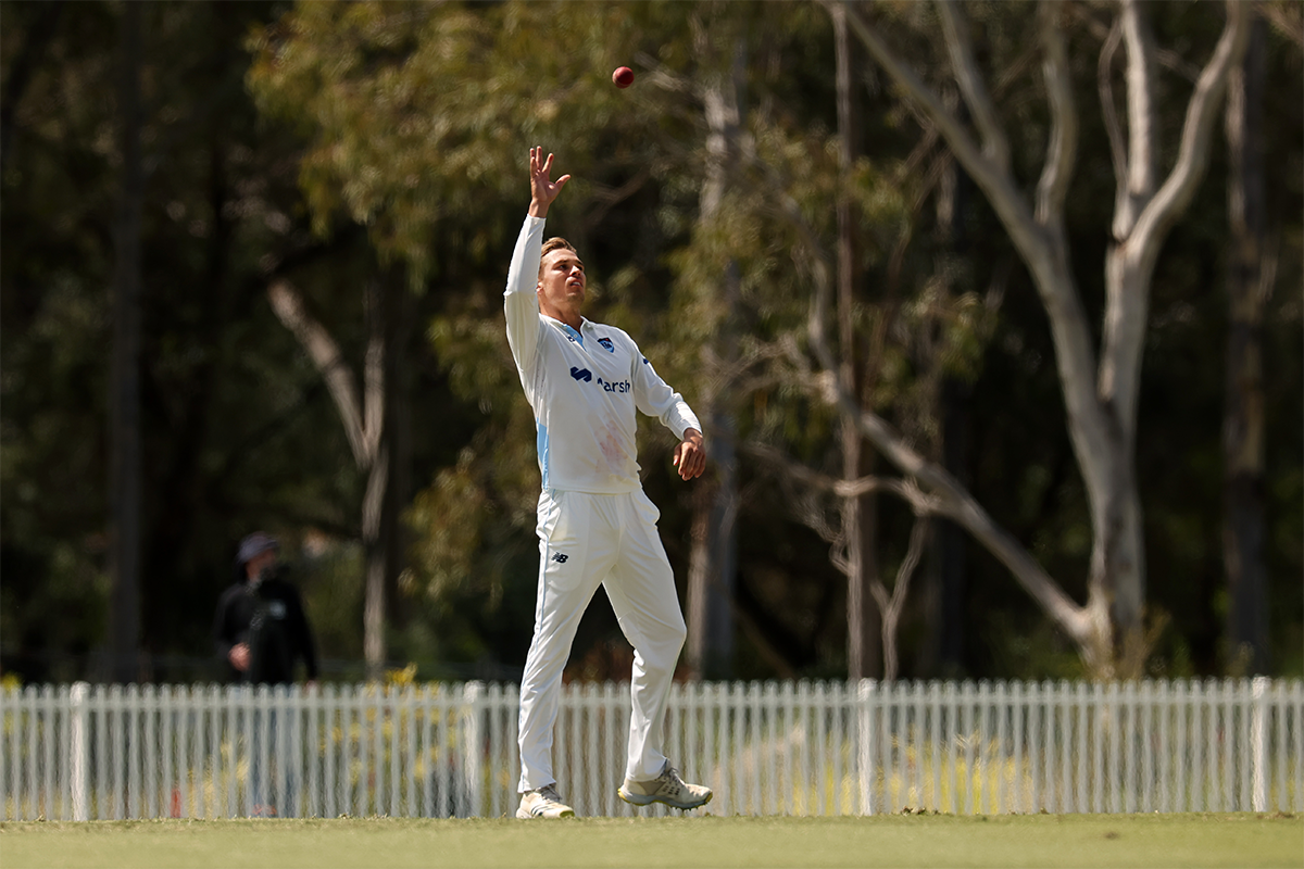 Blues squad to play SA in Shield | Cricket NSW