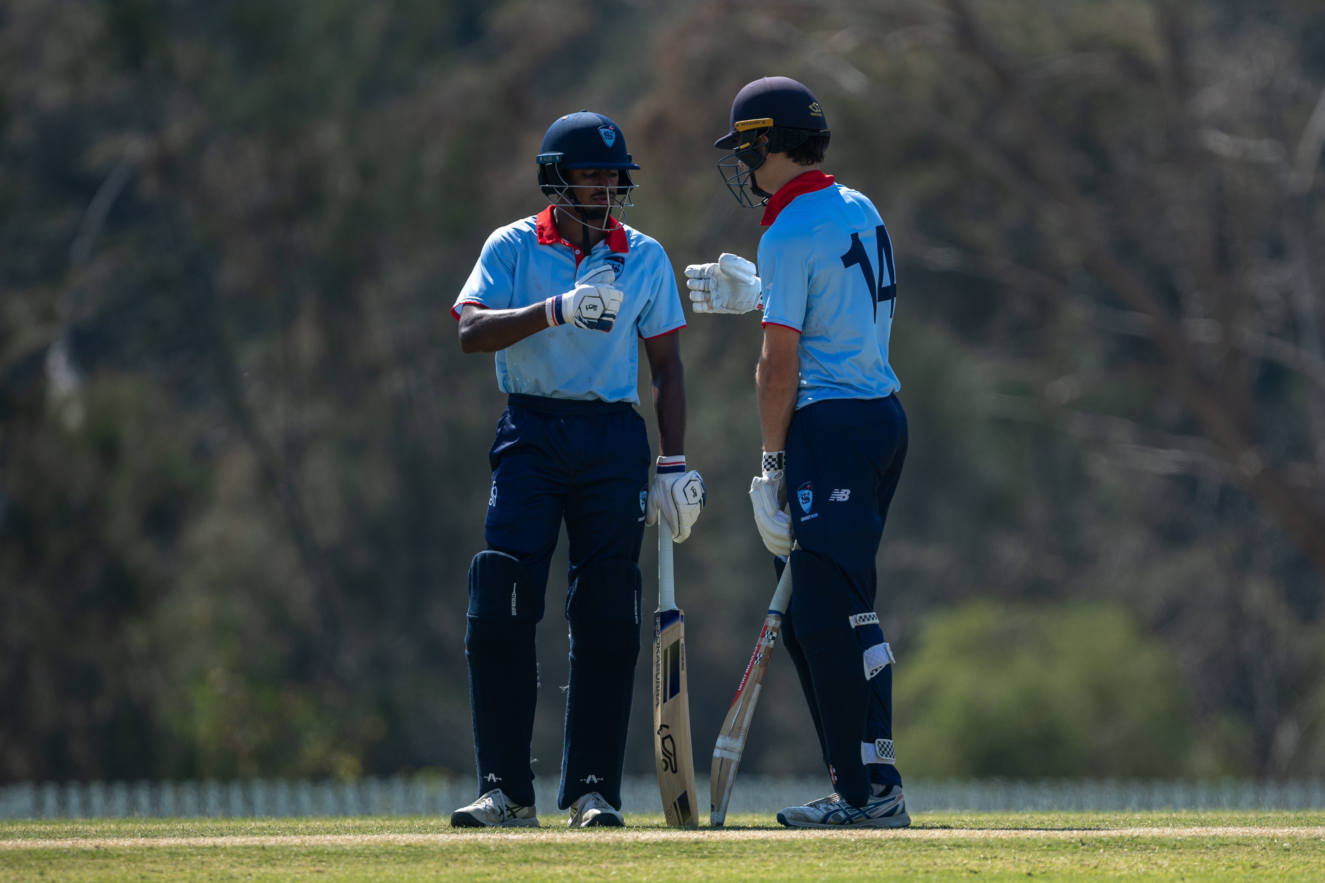 Six NSW players selected for Men's U19 World Cup | Cricket NSW
